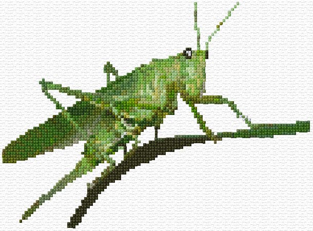 Grasshopper (Design 333) - Free Cross-Stitch Pattern